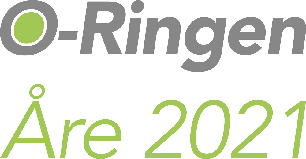 logo – NTNUI Orientering